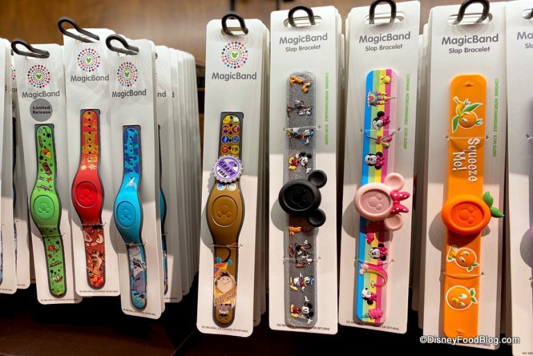 Wilderness Explorers! Check Out the New UP MagicBand in Disney World ...