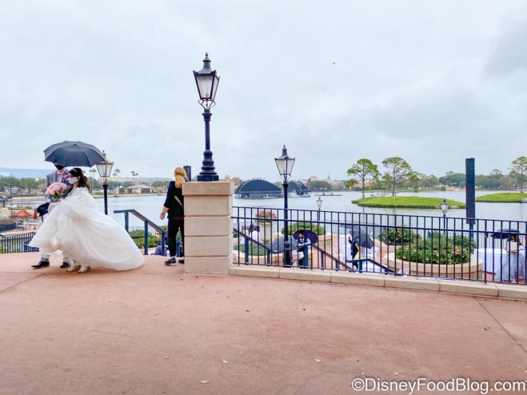 VIDEO: This Is the Most Romantic Thing We've Seen in Disney World This ...