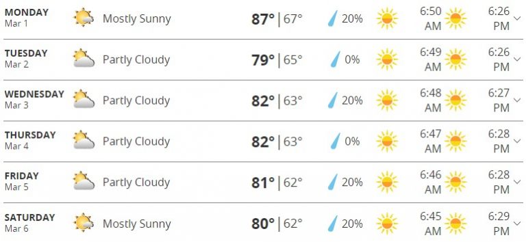 Warm Temperatures and a Low Chance of Rain Are Projected for Disney ...