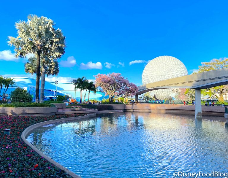 Video: Watch Mickey Mouse SCUBA DIVE in Disney World | the disney food blog