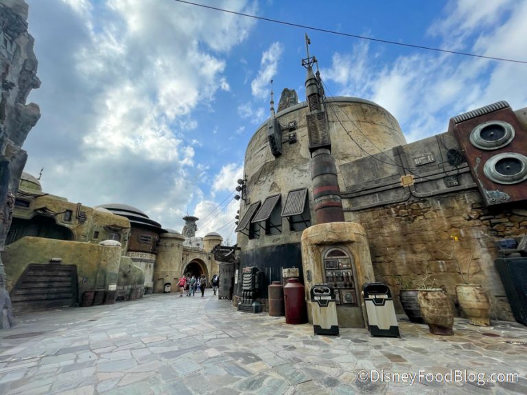 30 PHOTOS and VIDEOS From Our Day in Disney World! | the disney food blog