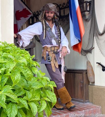 Adventureland in Walt Disney World's Magic Kingdom | the disney food blog
