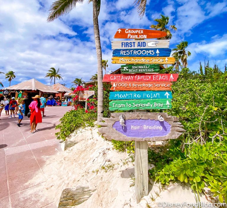 Disney Cruise Line Confiscates 9 Items Passengers Love to Pack | the ...