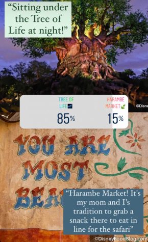 Which of YOUR 32 Favorite Disney World Spots is the BEST? Here Are the ...