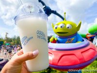 You Can Now Get a Popular Disney World Souvenir Without the Wait | the ...