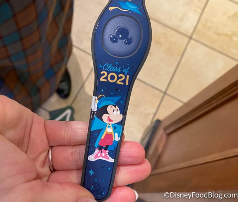 TWO New Limited Edition MagicBands Were Just Released in Disney World ...