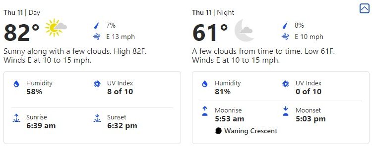 Next Week Brings Warm and Windy Weather to Disney World! - Disney by Mark