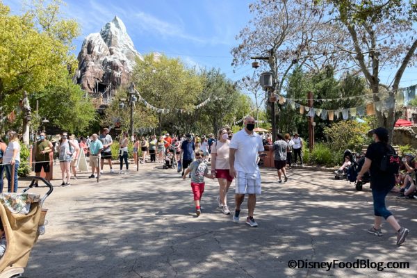 PHOTOS & VIDEOS: Spring Break Weekend Crowds at Disney World Surprised ...