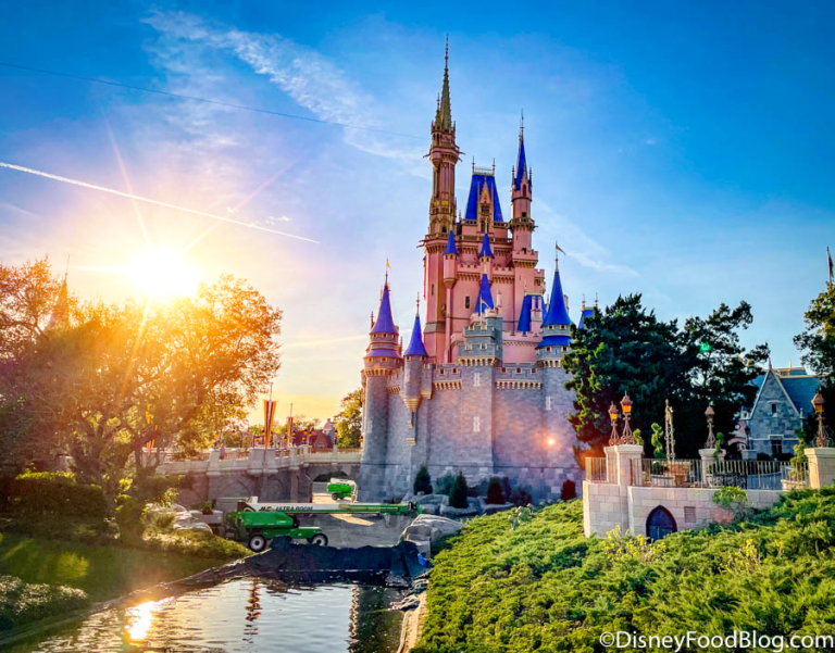 Disneyland Castle vs Disney World Castle – COMPLETE Breakdown - Disney ...