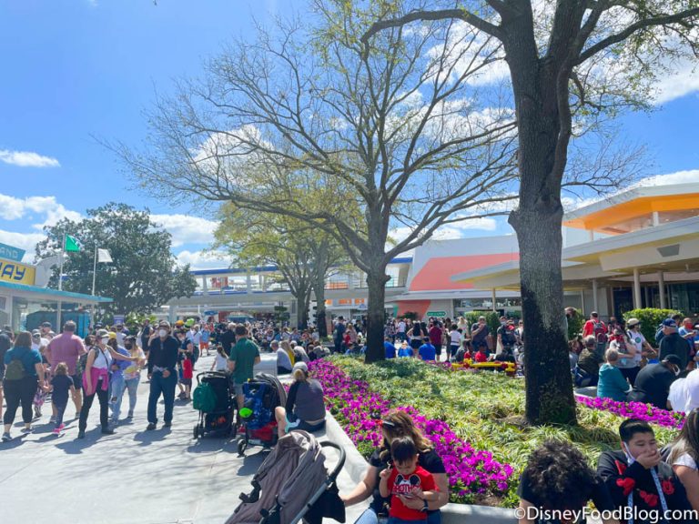 PHOTOS: Here's What the Spring Break Crowds Look Like in Disney World ...
