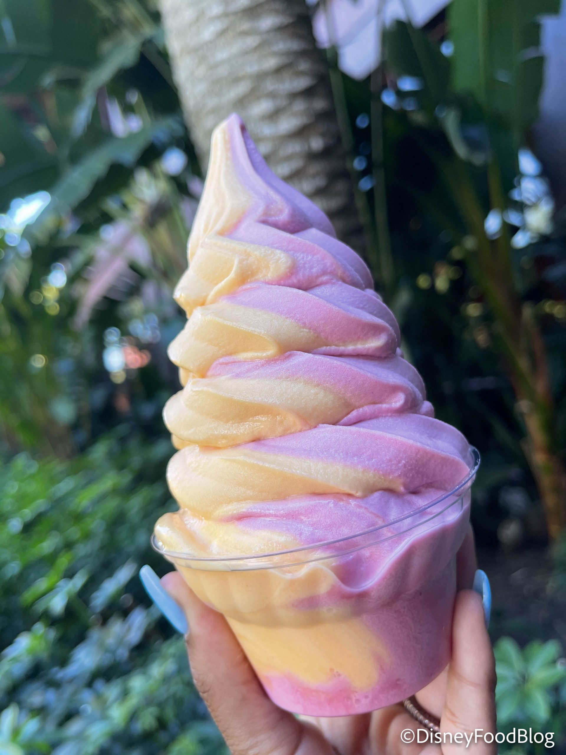 10 Dole Whip Flavor Combos You Need to Try in Disney World | the disney ...
