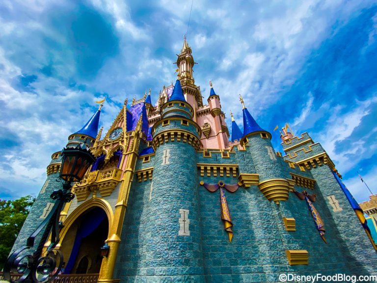 3 Super Weird Things We Bring To Disney World — And Maybe You Should ...