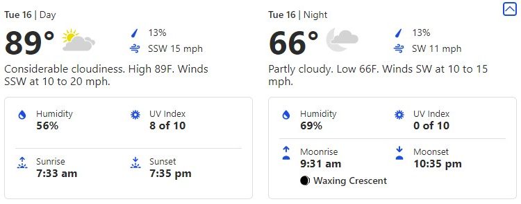 Expect Warm Weather and a Chance of Rain in Disney World Next Week ...