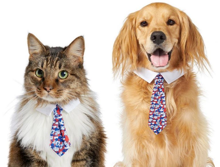 Get OVER 400(!!!) NEW Disney Items For Your Pets Online | the disney ...