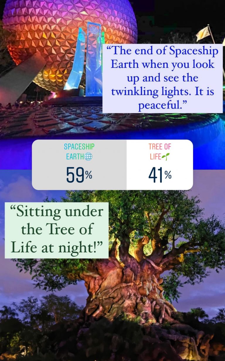 Did YOUR Favorite Disney World Spot Make It to the FINAL Round of Our ...