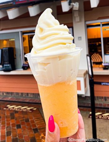 Review: We Braved The Storm For The Newest Snack in Disney World…And It ...