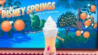 Review: We Braved The Storm For The Newest Snack in Disney World…And It ...