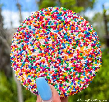 Disney's Latest Pride Snack Has ALL. THE. SPRINKLES. | the disney food blog