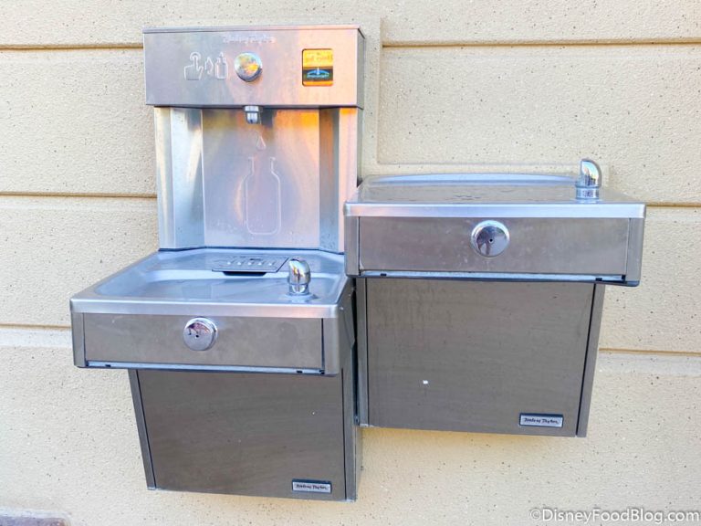 Here's What You Need To Know About Disney World's Refillable Water ...