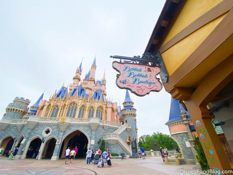 Maybe a CLOSED Disney World Experience Is Actually…Kinda…Open?! | the ...