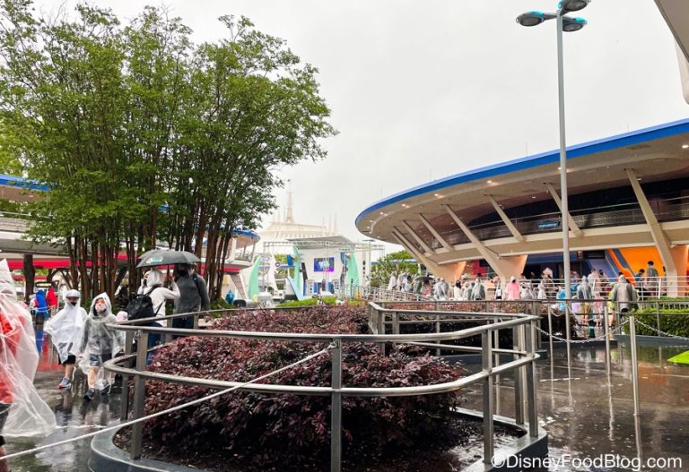 What a 'Severe Weather Warning' Day Looks Like in Disney World | the ...