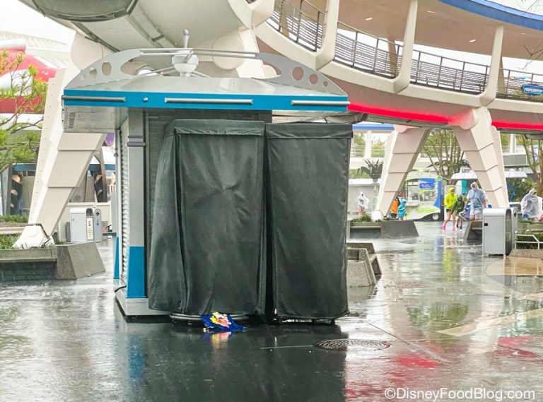 What a 'Severe Weather Warning' Day Looks Like in Disney World | the ...