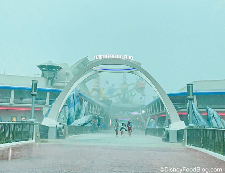 What a 'Severe Weather Warning' Day Looks Like in Disney World | the ...