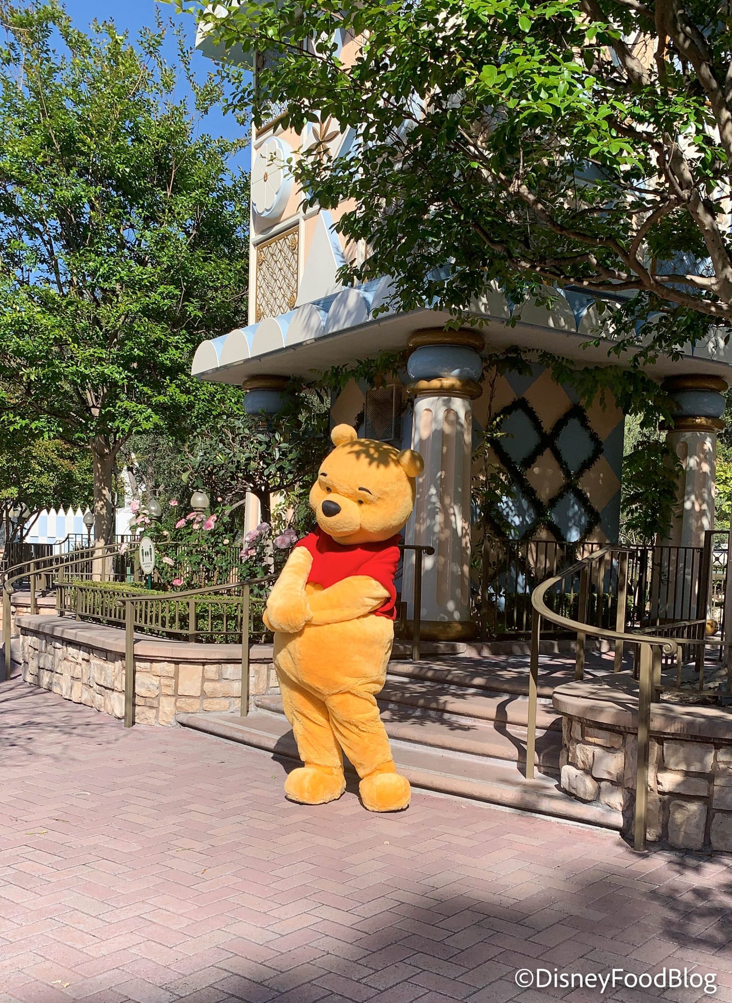 VIDEO: Disney Released a Special Winnie the Pooh Animation for Queen ...
