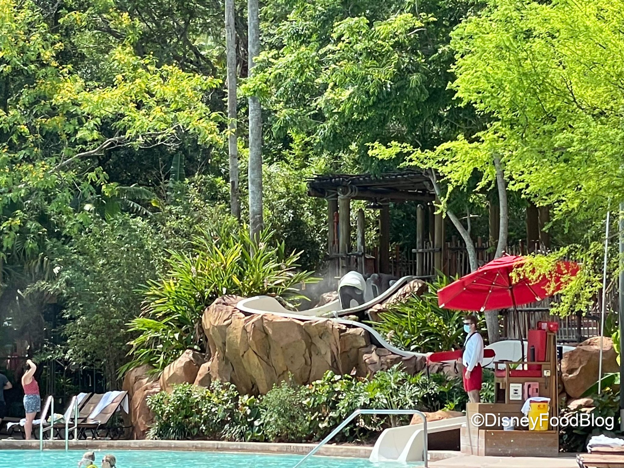 What's New at Disney World's Resorts: Flamingos, Pool Construction, and ...