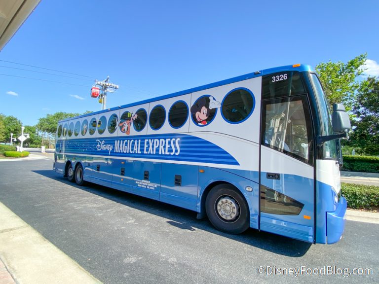UPDATE on the New Transportation Service that Will Replace Disney's ...