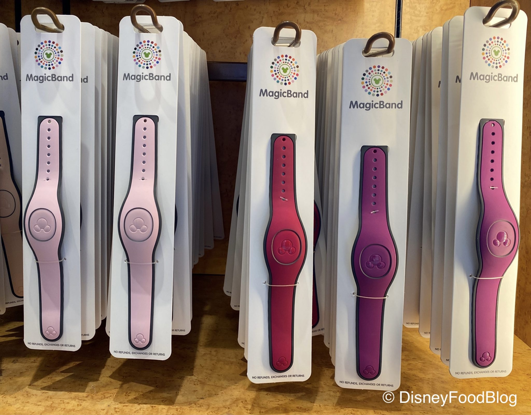 MagicBands Get a BIG Price INCREASE in Disney World | the disney food blog