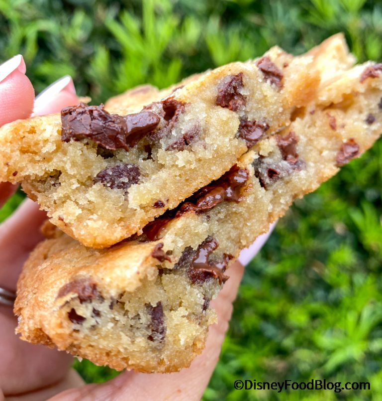 15 NON-NEGOTIABLE Disney World Snacks | the disney food blog
