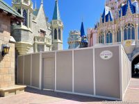 What's New at Magic Kingdom: A RARE Character and MORE Mystery ...