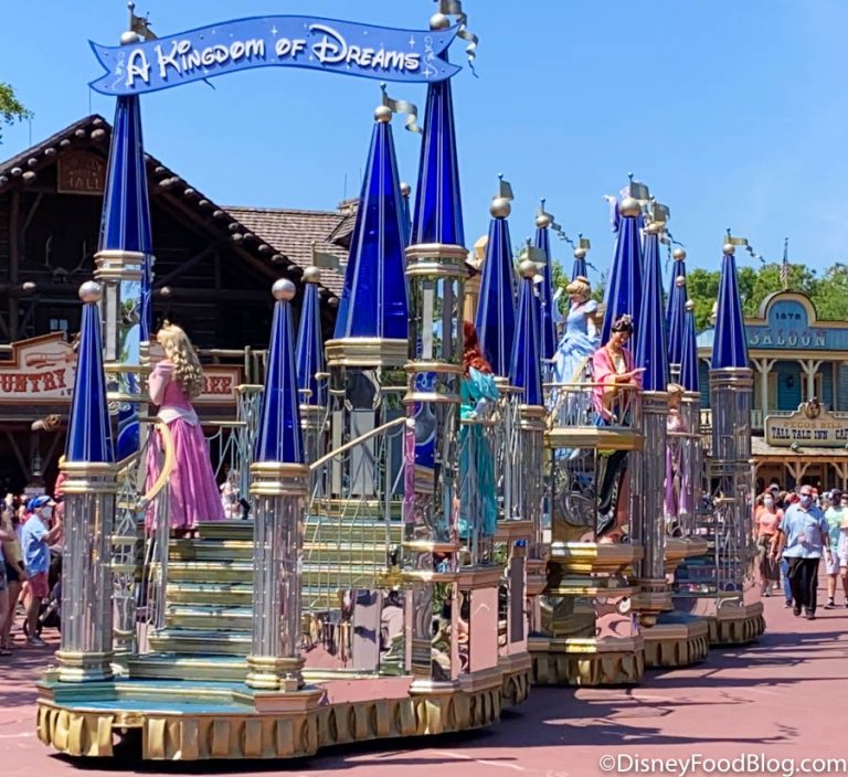 The SECRET Way to See Most of the Princesses at Once in Disney World ...