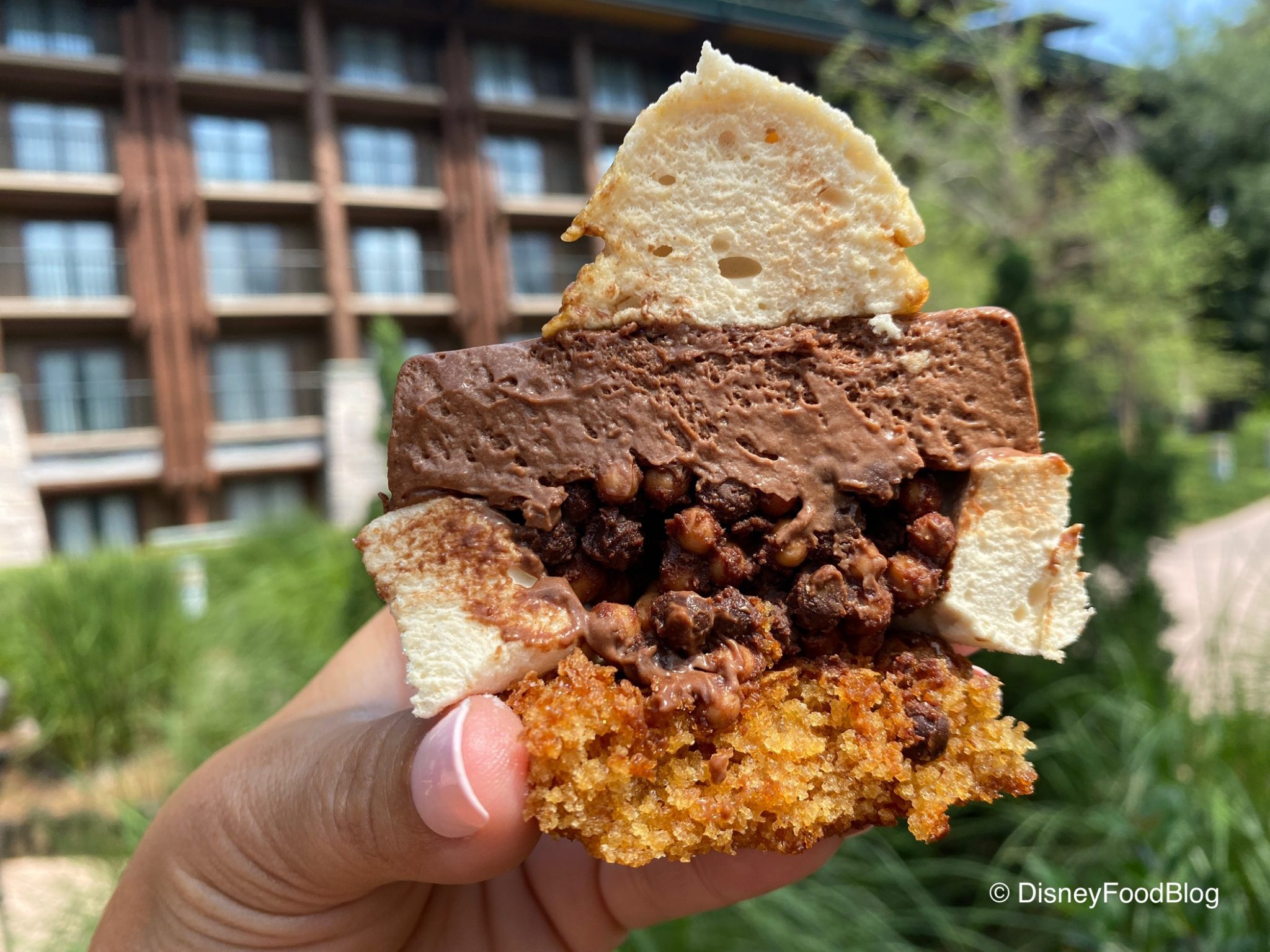 REVIEW: Bring LOTS of Napkins If You Try Disney World’s New S’mores ...