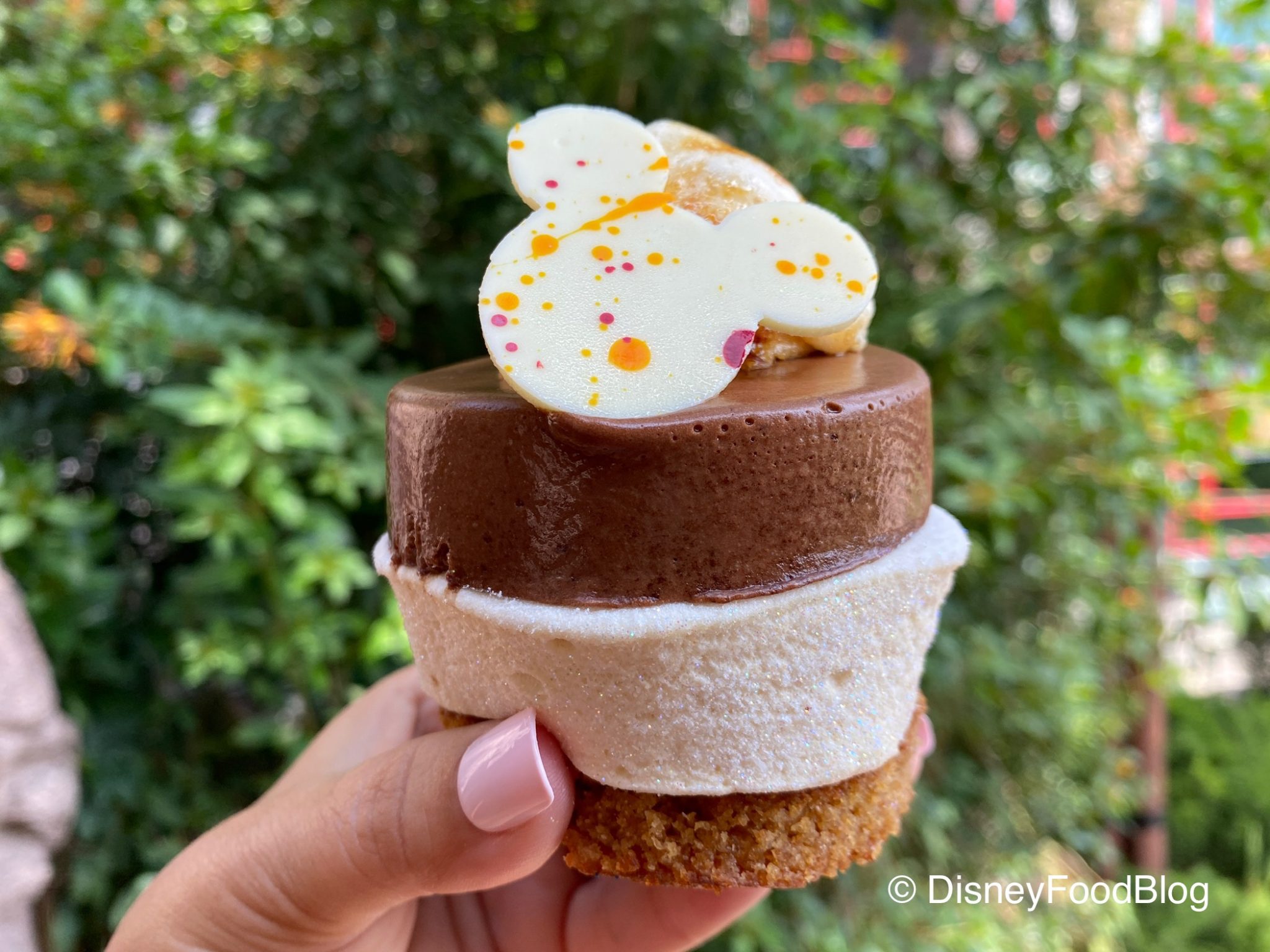 REVIEW: Bring LOTS of Napkins If You Try Disney World’s New S’mores ...