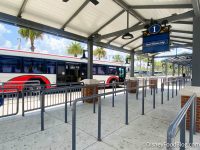 A Ridiculously Detailed Guide to Disney Springs Parking Garages | the ...