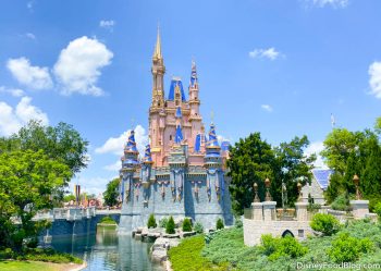 DFB Video: 16 New Pitfalls We’ve Never Seen Before in Disney World ...