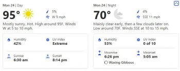 How to Pack for a HOT Week in Disney World! | the disney food blog