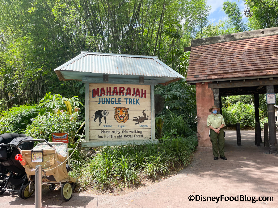 FIRST LOOK! Masks are No Longer Required Outdoors in Disney World | the ...