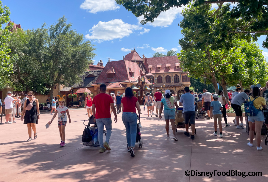 15 Photos From a CROWDED Weekend in Disney World | the disney food blog