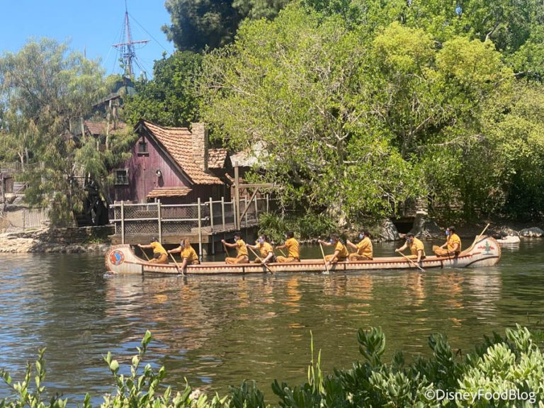 7 Disneyland Rides Experts REFUSE To Go On | the disney food blog