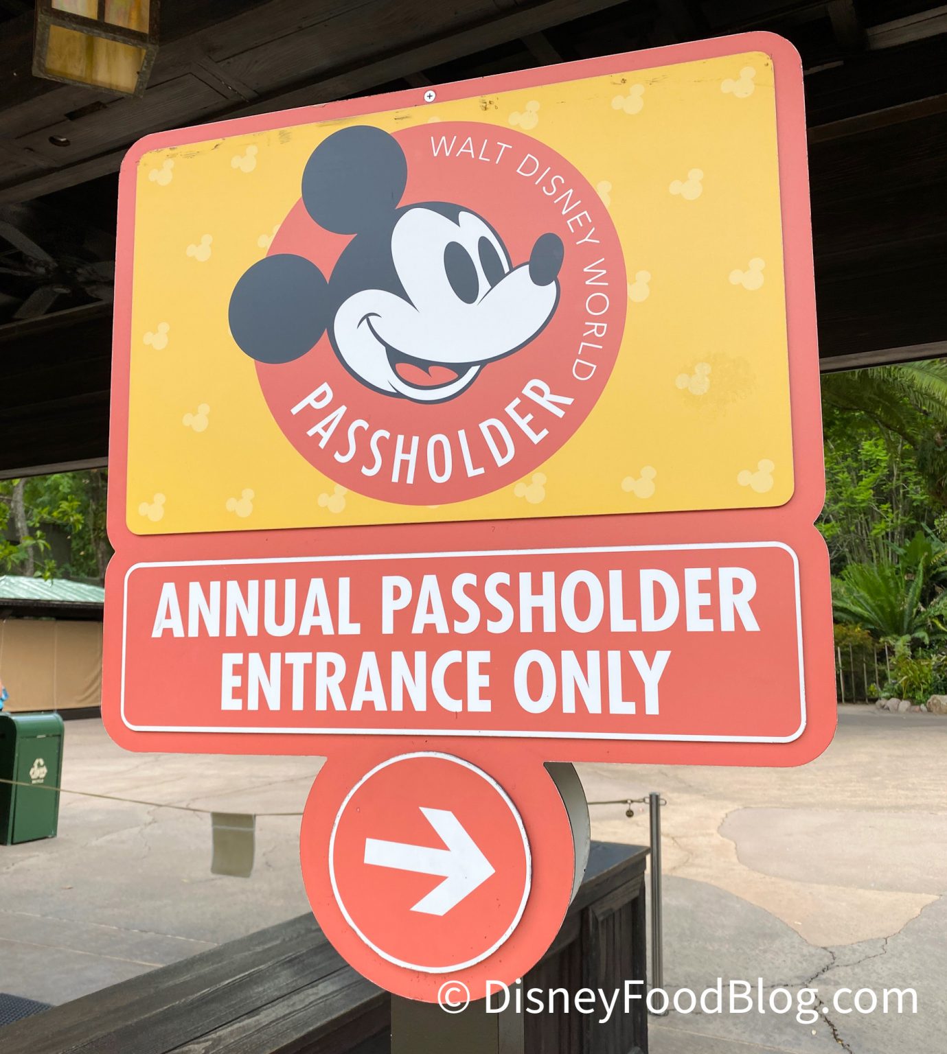 Are Disney World’s New Annual Passes More Expensive Than The Old Ones ...