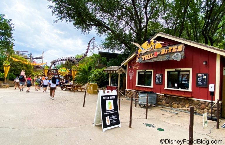 BREAKING: Power Outage in Disney's Animal Kingdom Closes Down Half of ...