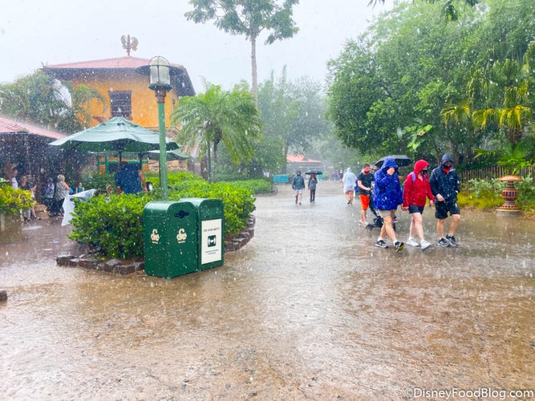 A Complete List of the Attractions that Close When There's Bad Weather ...