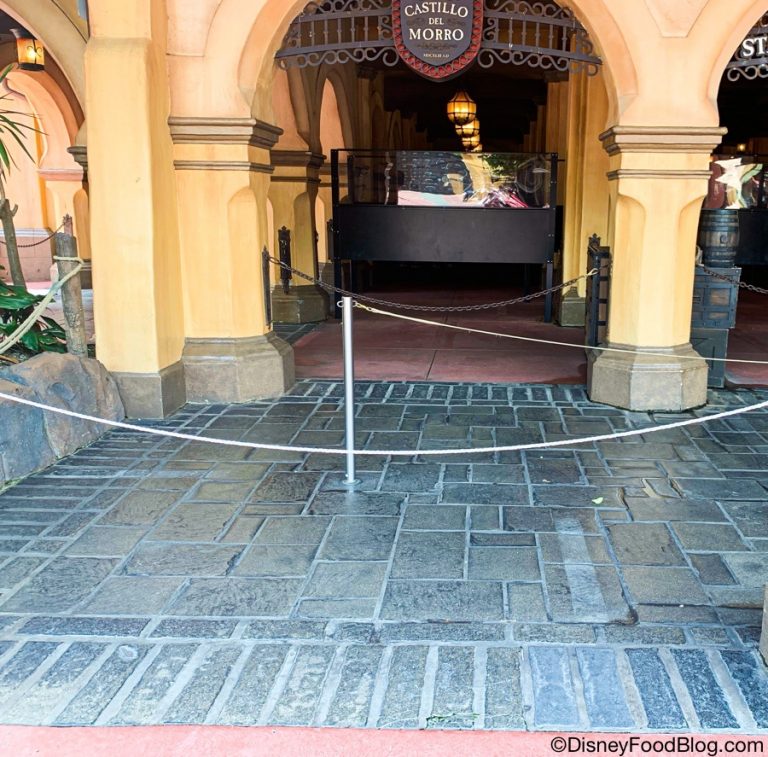PHOTOS: Disney World Ride Queues Are Starting to Look Normal Again ...