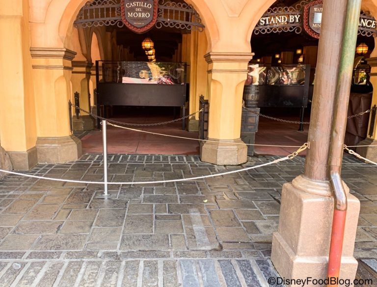 PHOTOS: Disney World Ride Queues Are Starting to Look Normal Again ...
