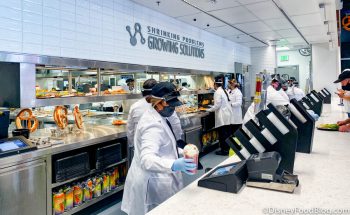 FULL REVIEW: Lunch at Pym Test Kitchen in Disney's Avengers Campus ...