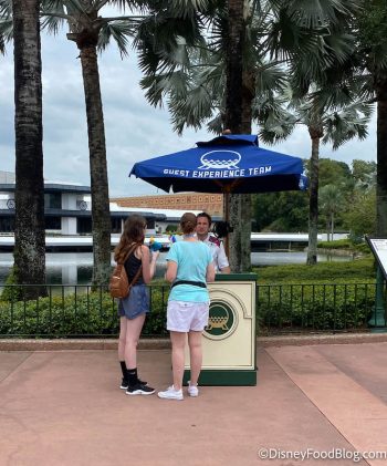 Disney World's Live Chat Had An INSANE Wait Time Today 👀 | the disney ...