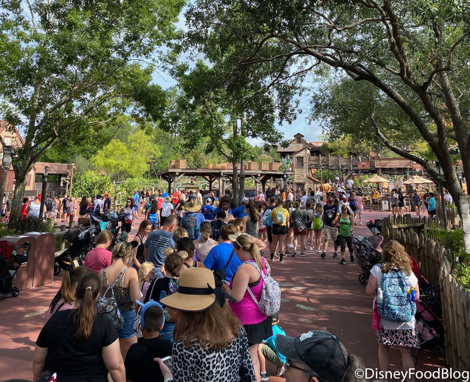 Proof That the Summer Crowds Have Arrived at Disney World | the disney ...